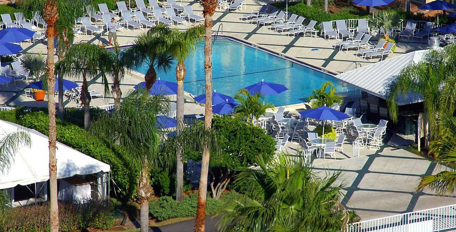 Hotel Bars & Restaurants in Safety Harbor, Florida - Safety Harbor ...